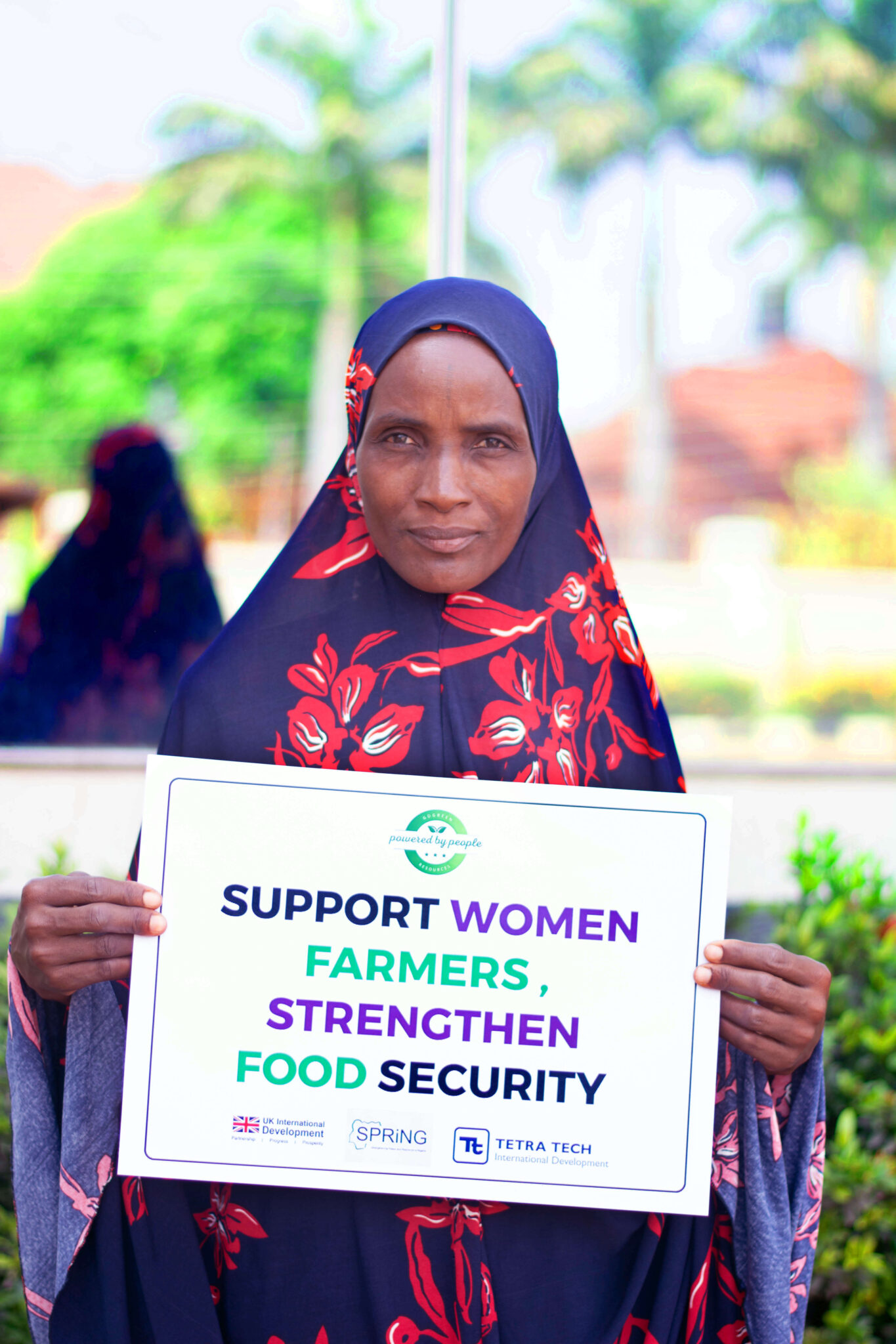 Nigeria SPRiNG Homepage - SPRiNG